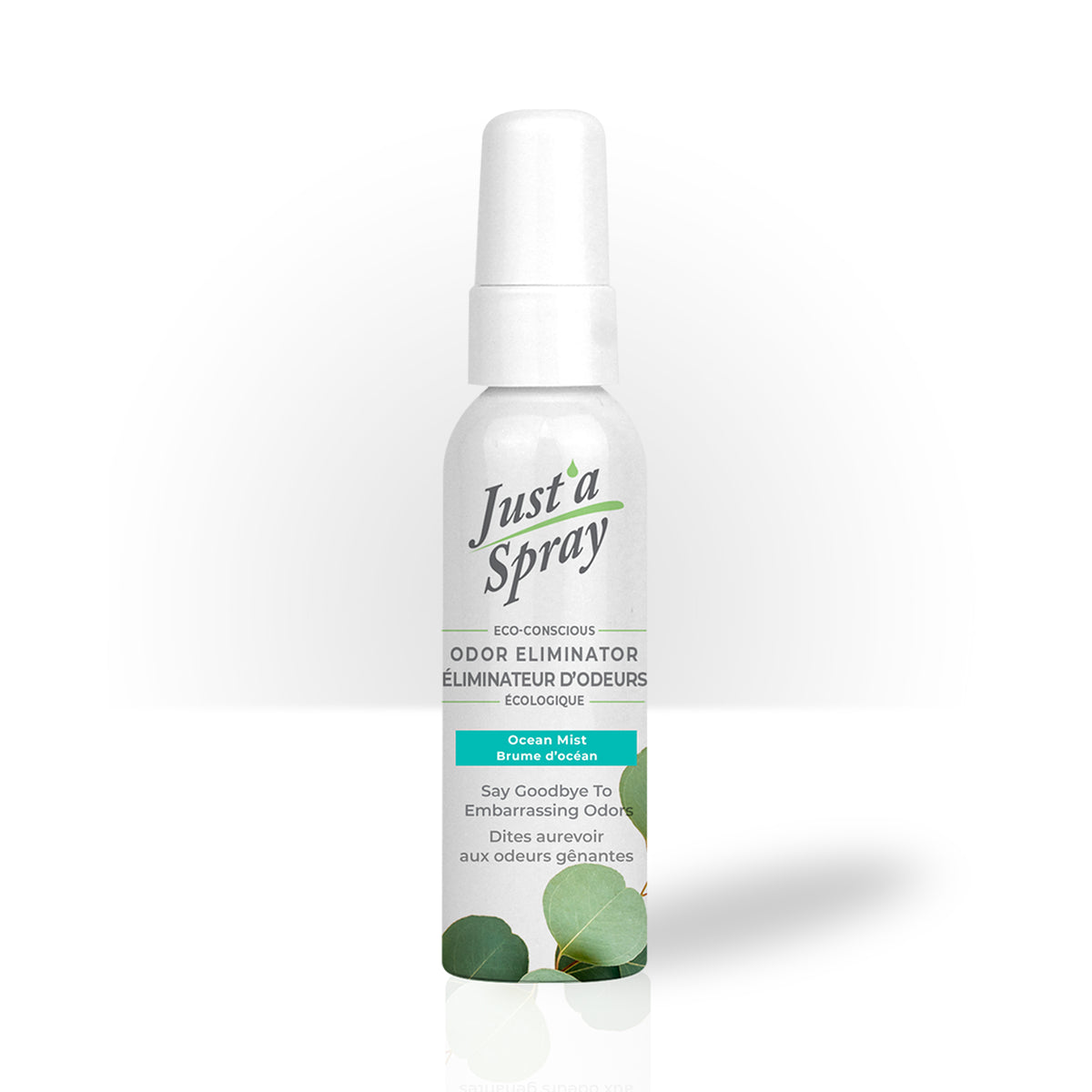 Just a Spray Ocean Mist 55 ml (1.9 oz) - Powerful Before-You-Go Toilet ...